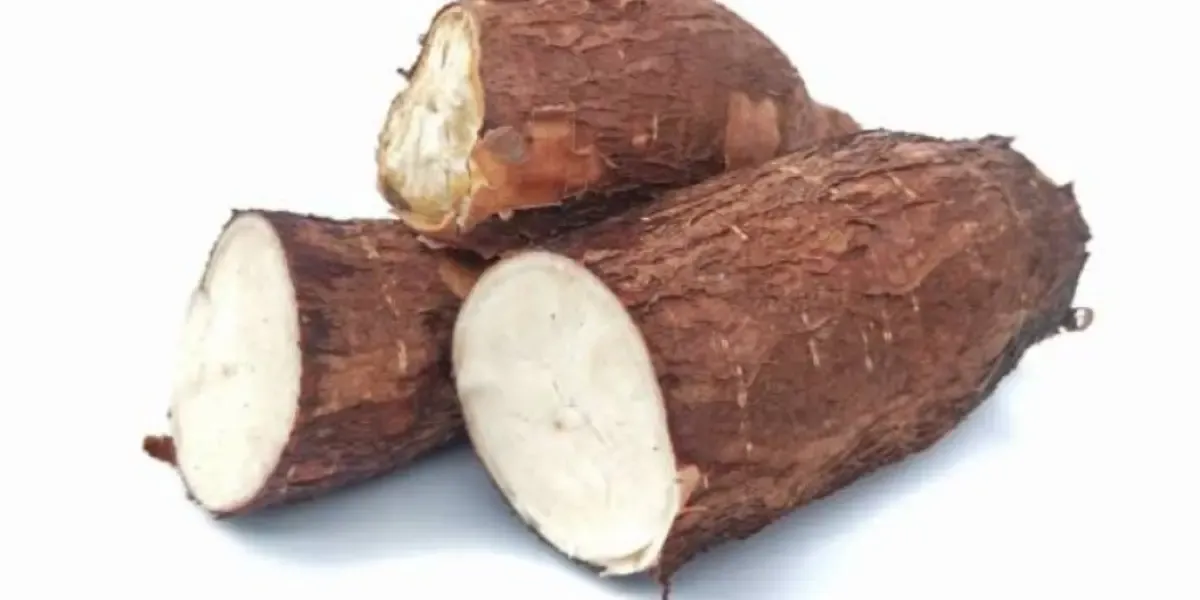 Alza en los precios de la yuca, el plátano y la mazorca golpea al ...