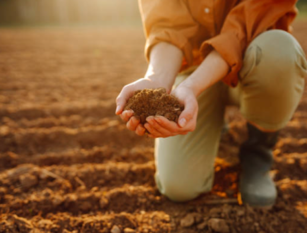Crecimiento del sector Agricultura en Colombia en el primer trimestre ...