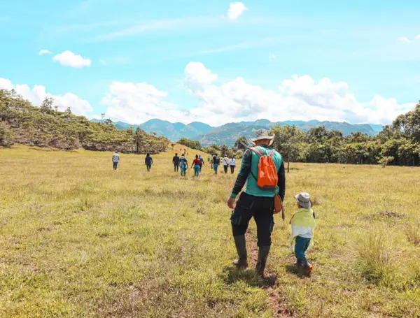 Agencia Nacional de Tierras sobre presunta comisión por la compra de ...