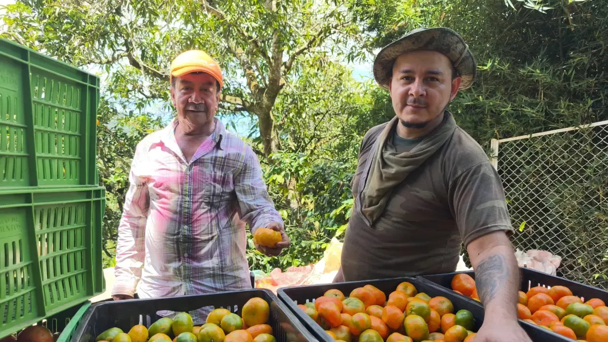 Banco De Alimentos De Bogotá Entregó 22 7 Millones De Kilos De