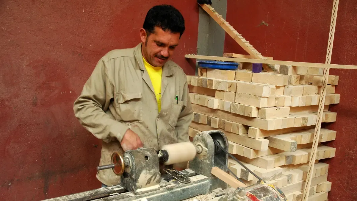 El plan de reforestación que propone la industria de madera al Gobierno ...