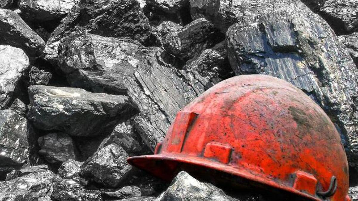 Fenalcarbón y Andeg firman alianza para fortalecer la cadena de carbón ...