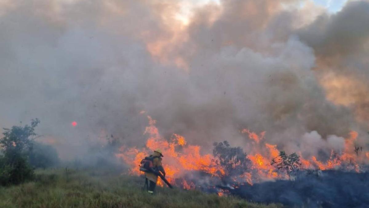 Incendios en Colombia: incendios registrados y hectáreas afectadas ...