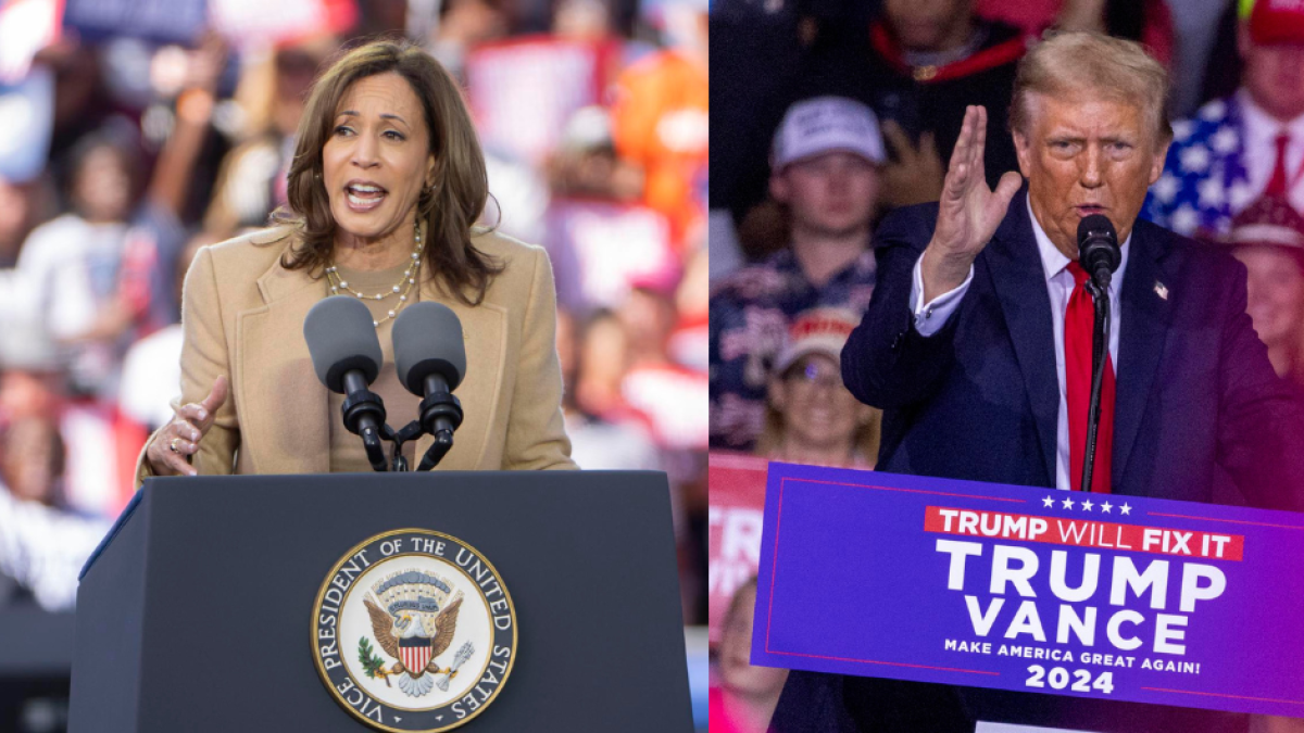 Elecciones en Estados Unidos: cómo se hace el conteo de votos y se ...