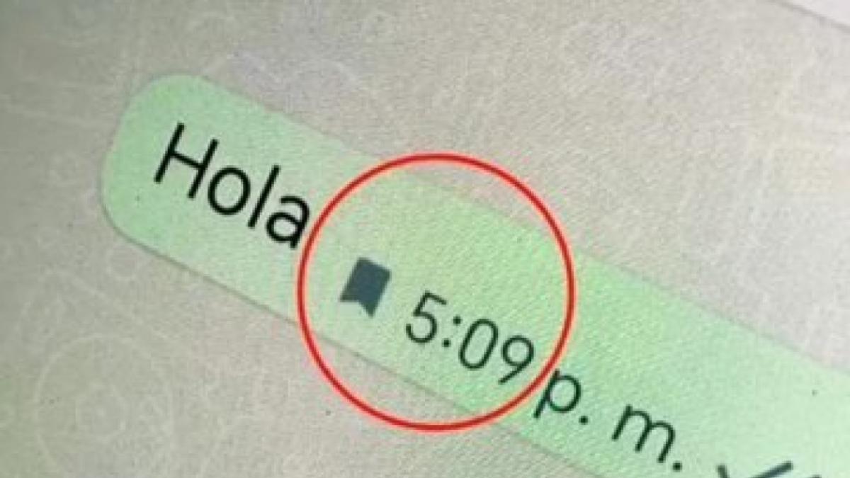 ¿Qué significa la bandera en un chat de WhatsApp y cómo la activo o ...