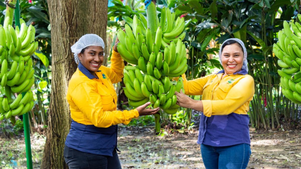 Grupo Daabon lanza nueva línea de snacks orgánicos y amplía su oferta ...
