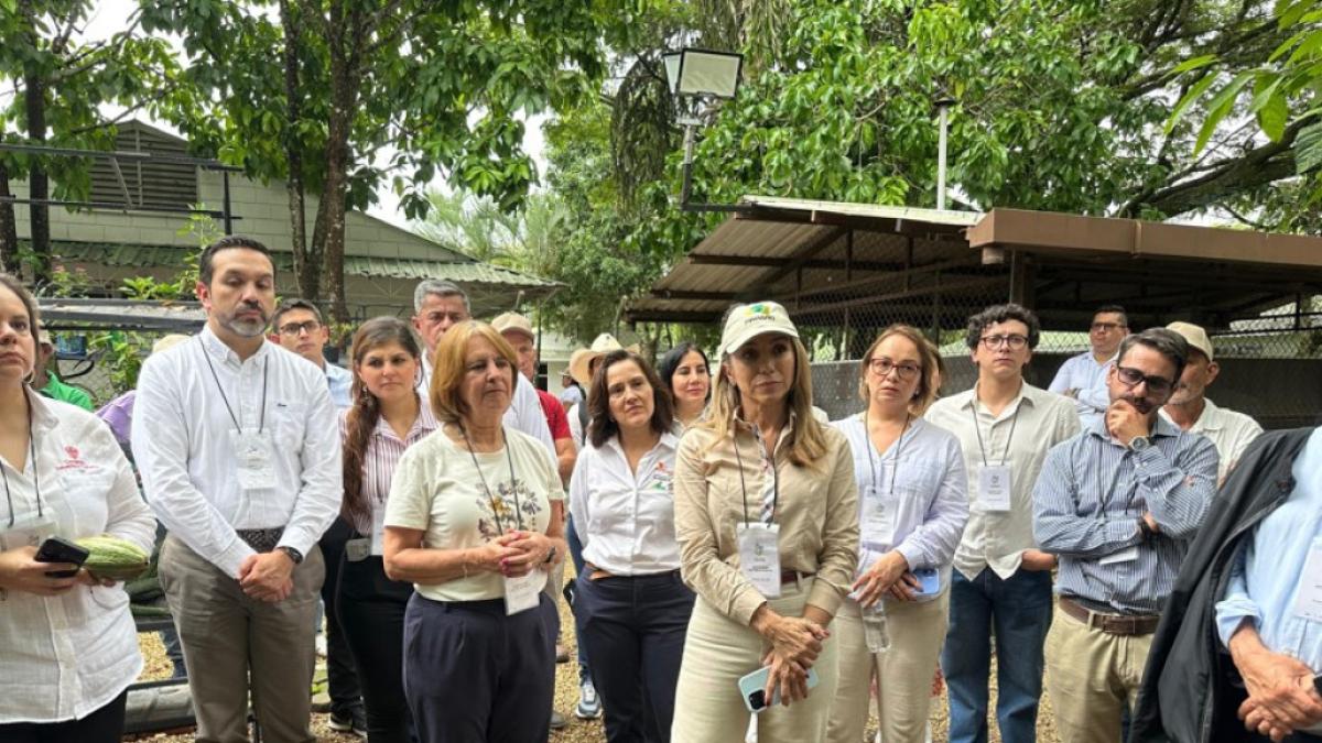 Programa de encadenamientos productivos impulsa el desarrollo rural en Arauca