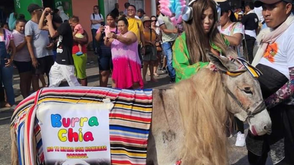 ¿Dónde los burros desfilan disfrazados? Solo en este rincón de Córdoba