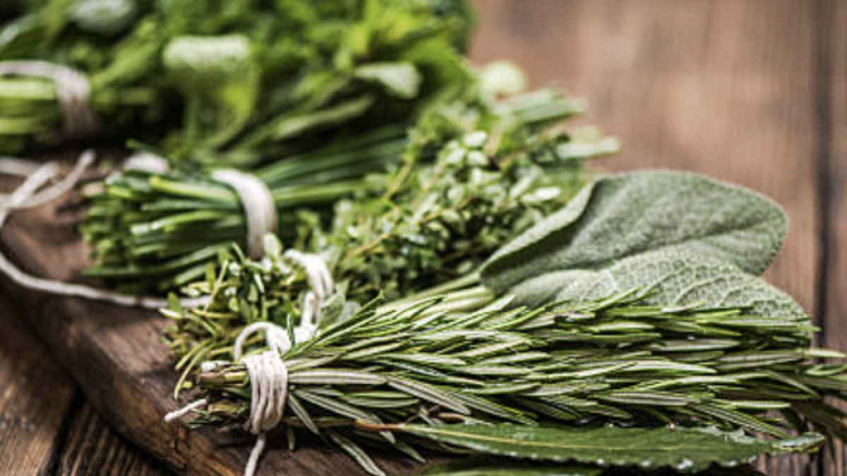 Exportaciones de hierbas aromáticas colombianas superan los US$44 ...