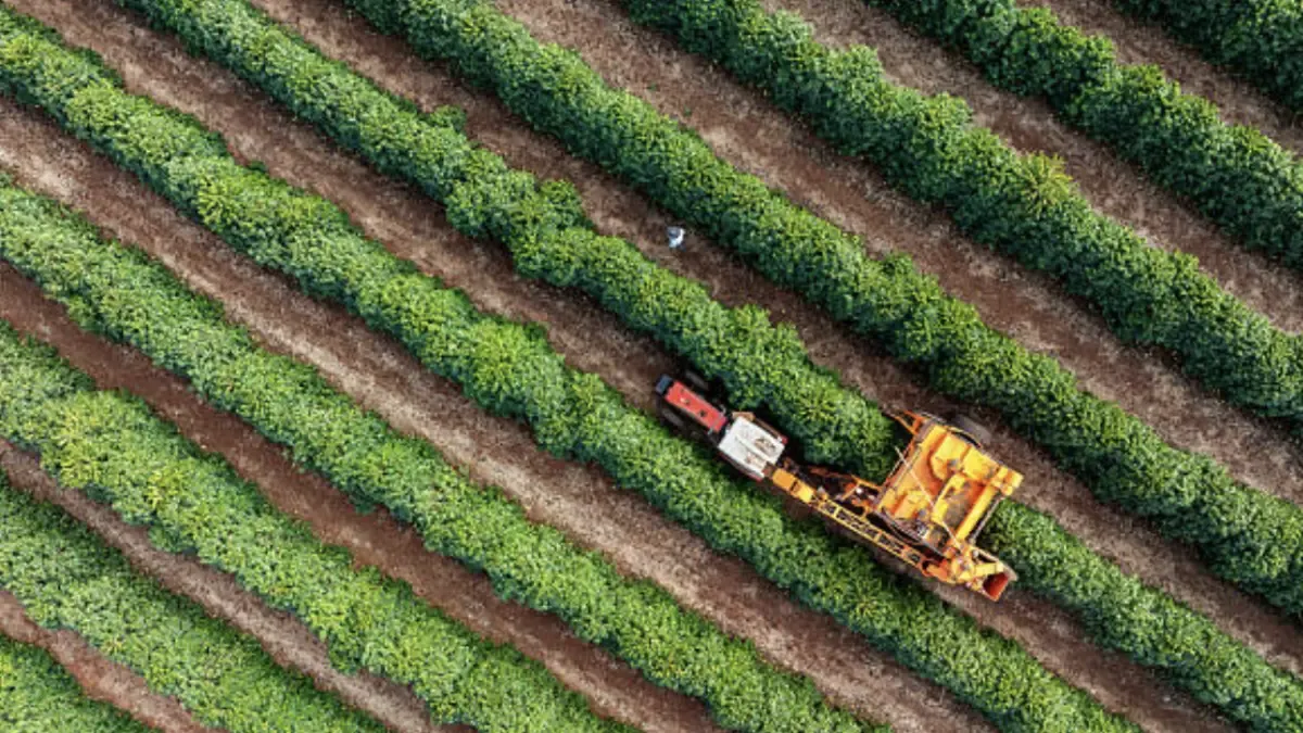 Crecimiento del agro colombiano llegó a 2,4% en el tercer trimestre de 2025