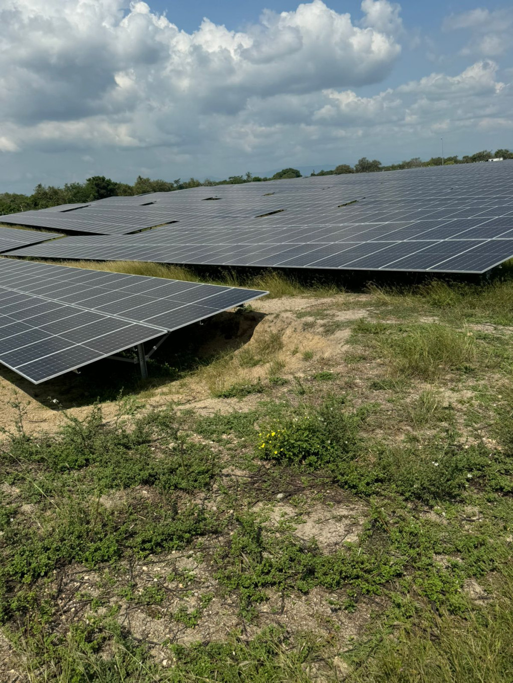 EPM, Erco Energía y un inversionista europeo se unen para destinar US ...