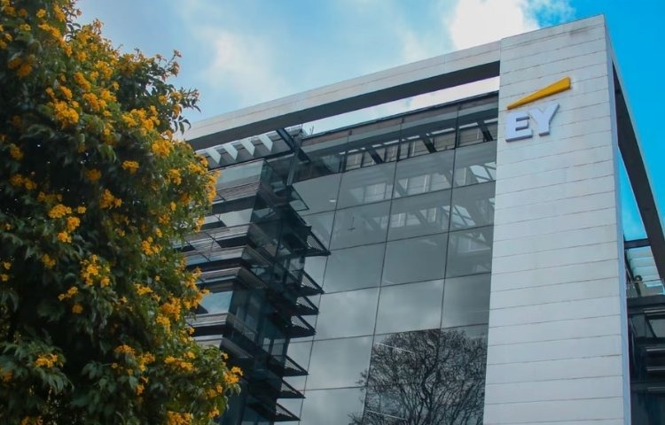 Firma EY advierte posibles efectos de la disminución del piso del ...