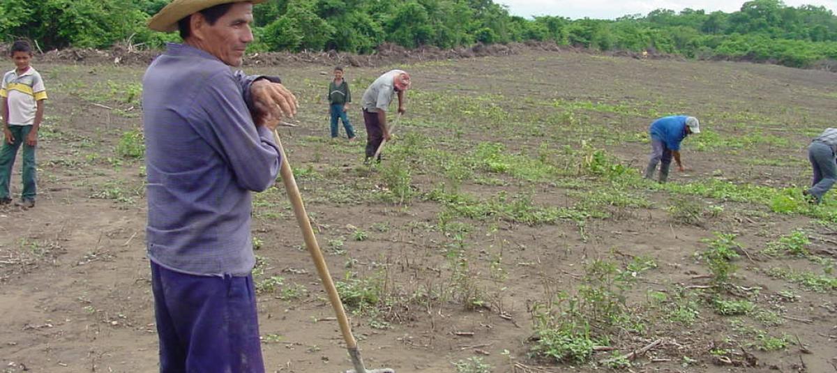 Agencia Nacional de Tierras sobre presunta comisión por la compra de ...