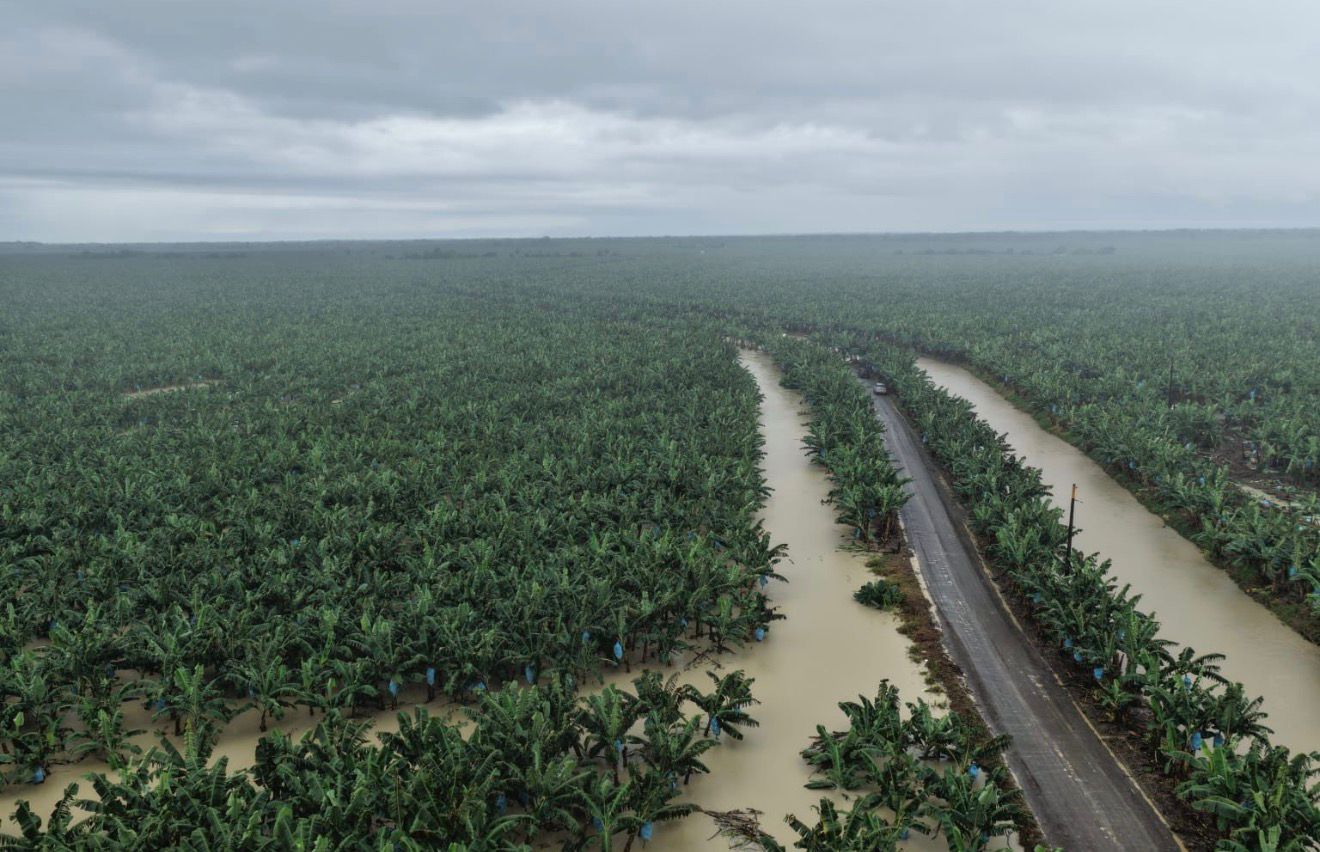 Emergencia climática en el Urabá antioqueño afecta 1.200 hectáreas de ...