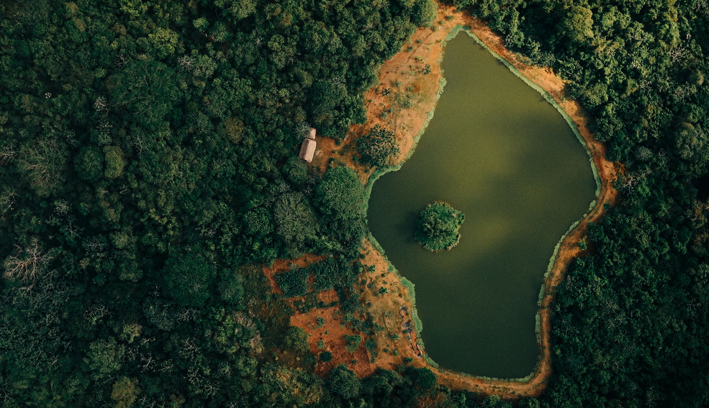 La marca de ropa Mattelsa expande su estrategia ambiental con nueva ...